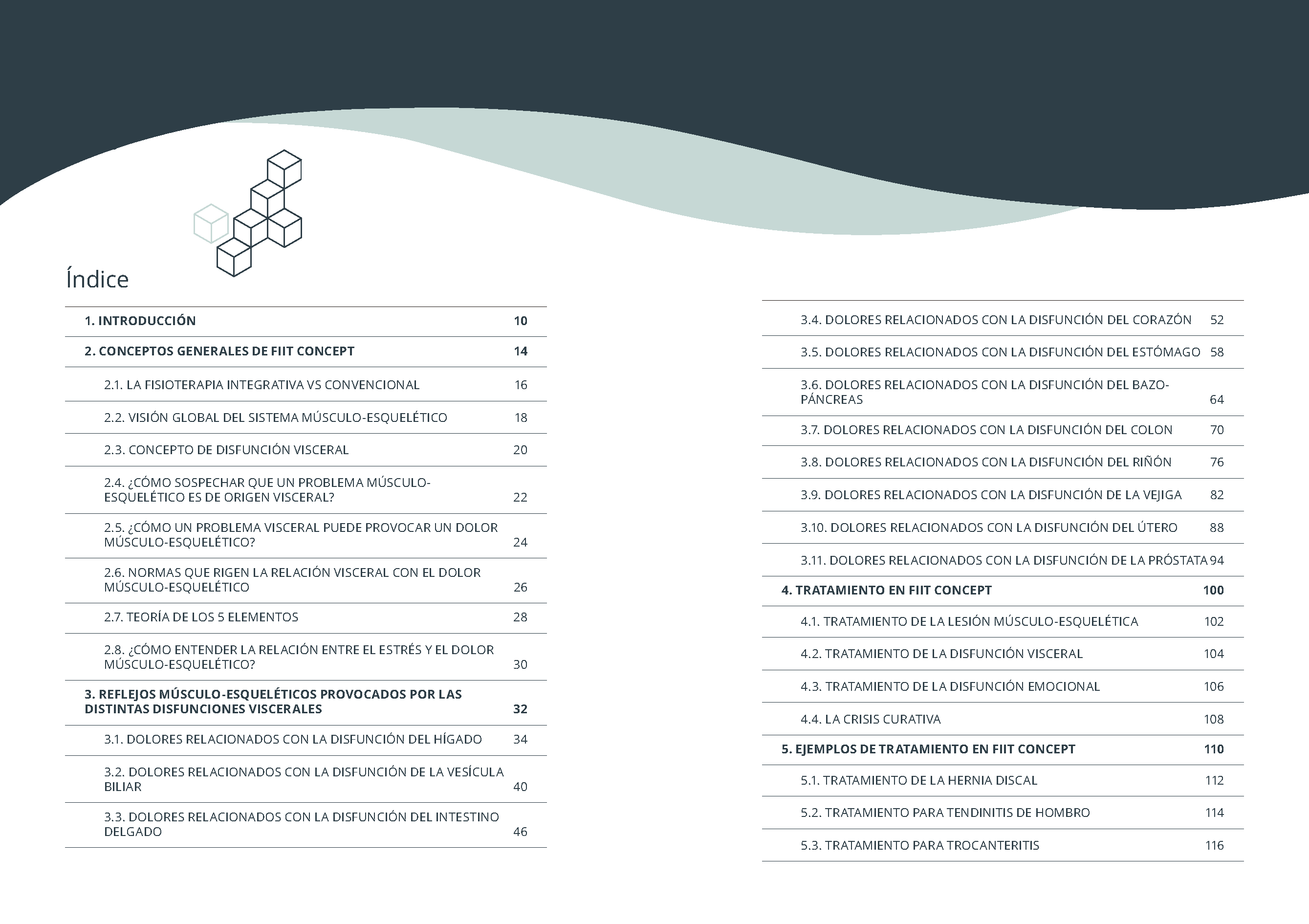 Libro Fiit Concept | Fiit Concept